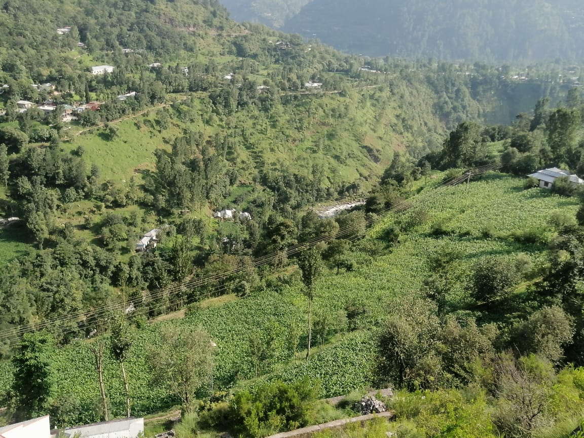 Seed Increase Block, District Jhelum Valley – Agricultureajk AJK